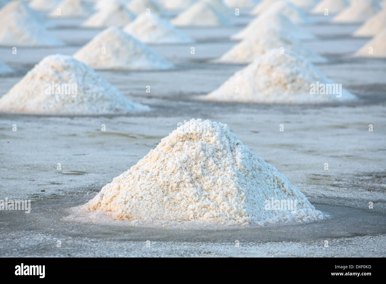 Piles of salt on the surface of the salt lake, Thailand Stock Photo - Alamy