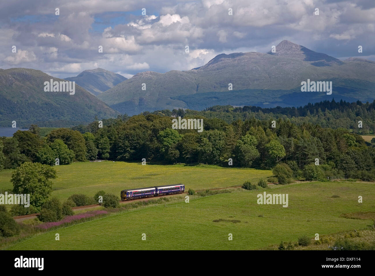 First sprinter hi-res stock photography and images - Alamy