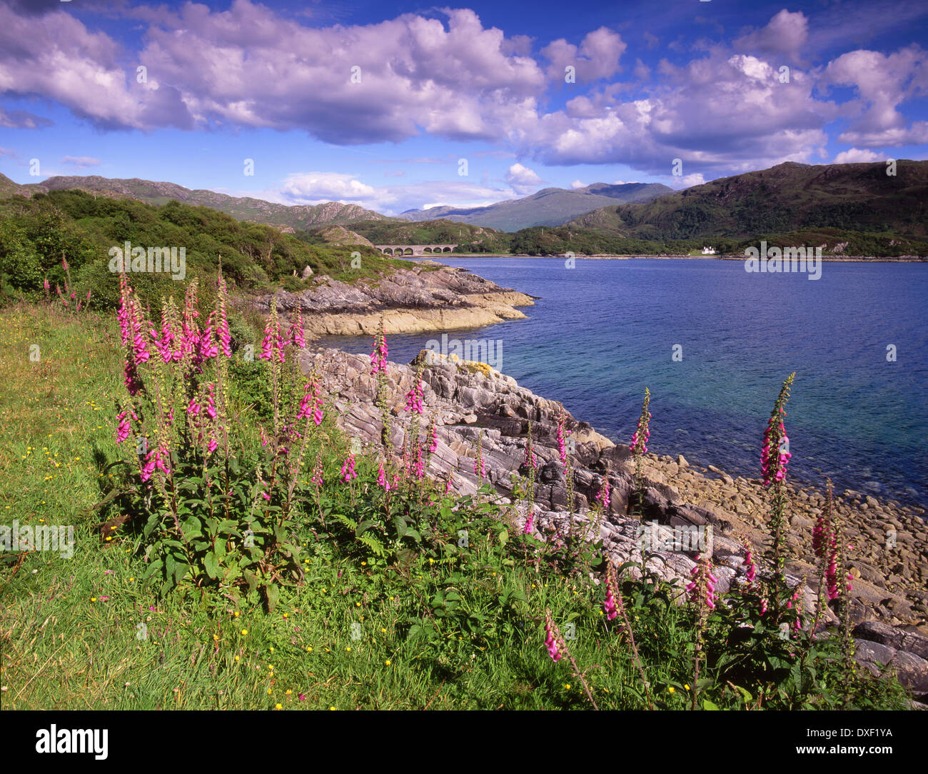 Loch nan umbh,and railway viaduct,nr -Arisaig,west-highlands Stock ...