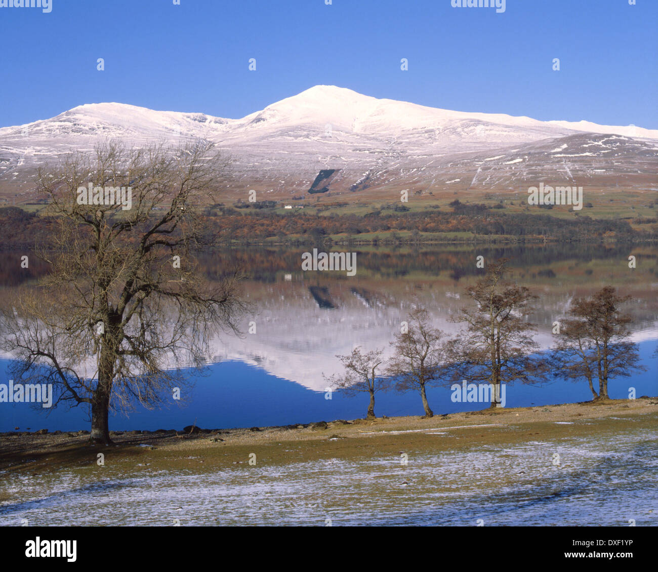 Winter view across Loch tay towards Ben Lawers, Perthshire Stock Photo ...