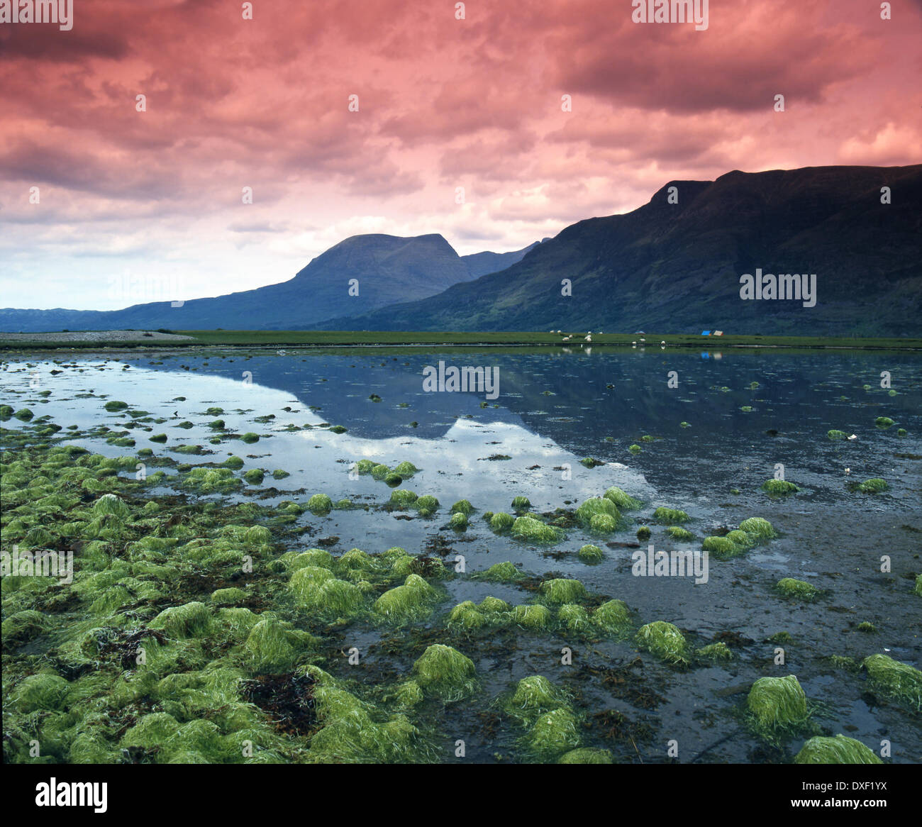 Loch Torridon, N/W Highlands Stock Photo - Alamy