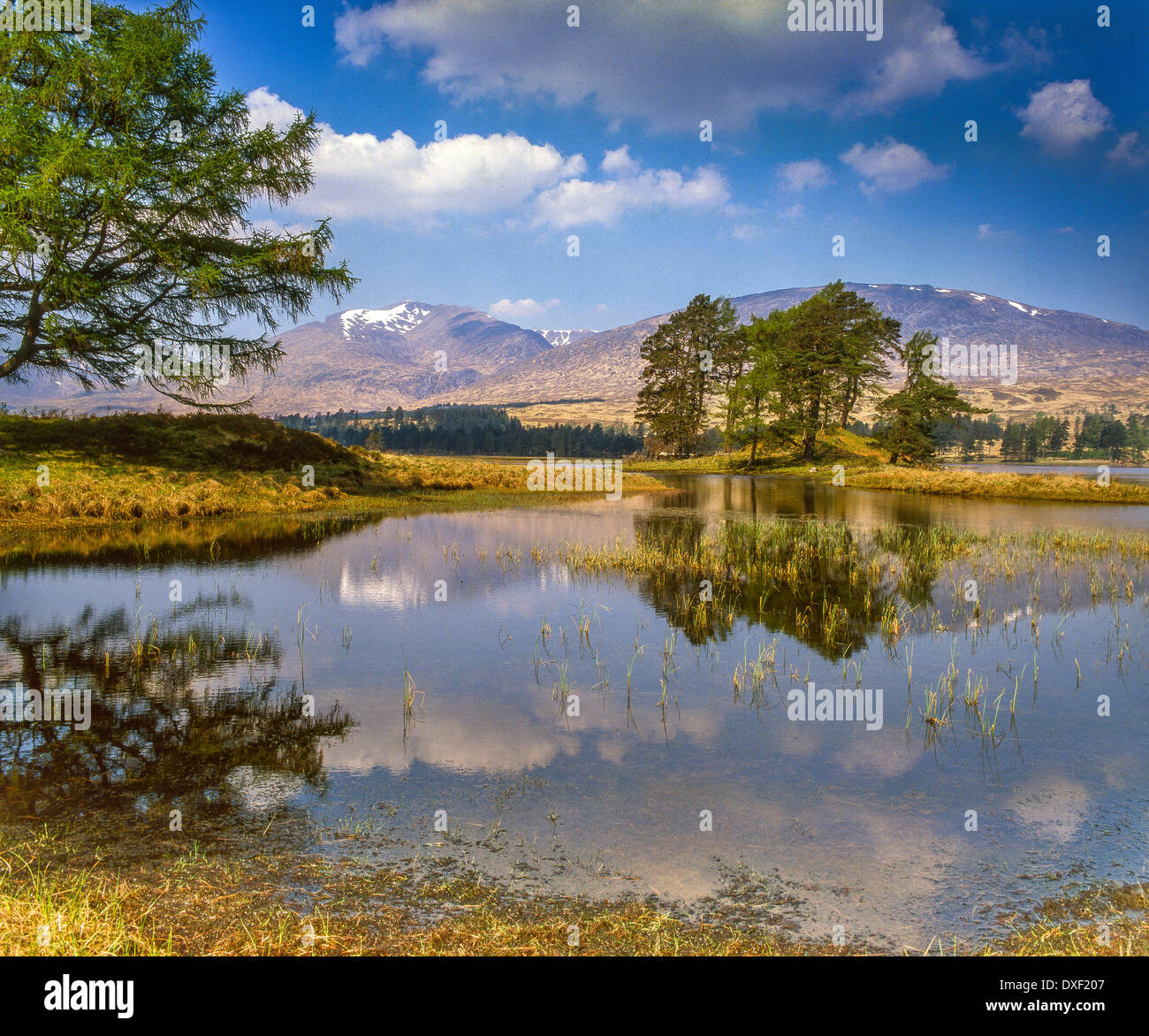 Tulla hi-res stock photography and images - Alamy