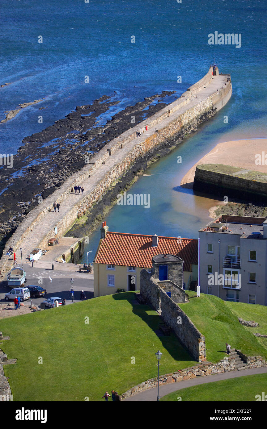 Old harbour st andrews fife hi-res stock photography and images - Alamy