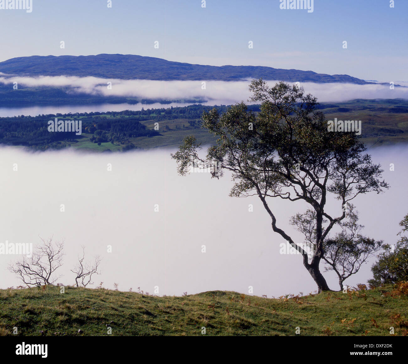 Morning over Loch Awe and the Pass of Brander, Argyll Stock Photo - Alamy