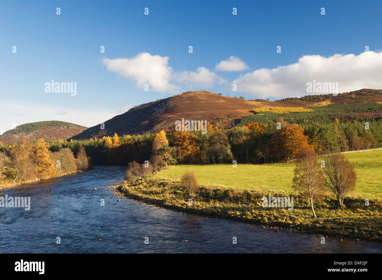 Royal deeside landscape scotland autumn hi-res stock photography and ...