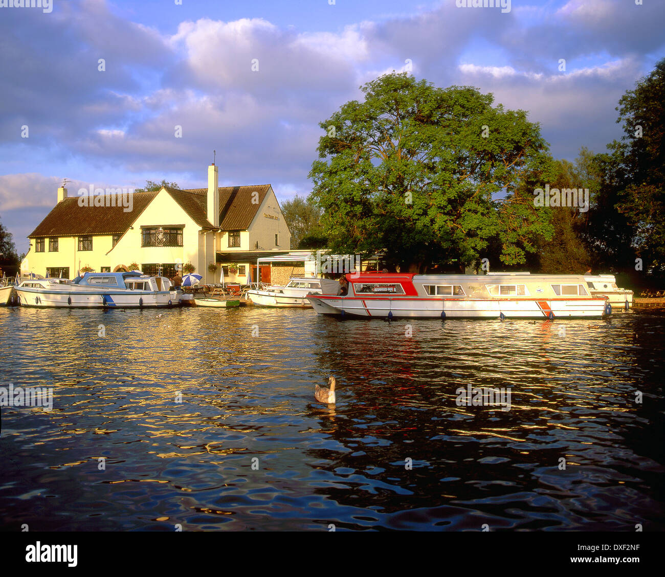 The ferry in on the river Bure at Horning ,norfolk-broads,south-east ...
