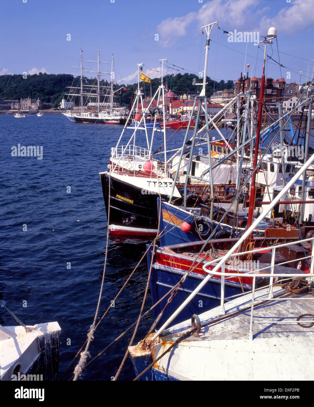 Busy scene in Oban bay with fishing boats and tall ship seen from the ...