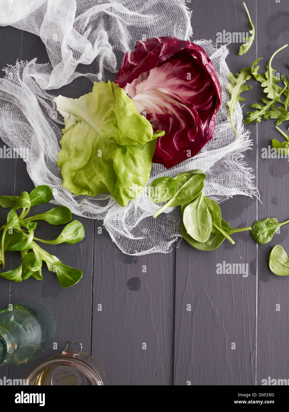 Red bibb lettuce hi-res stock photography and images - Alamy