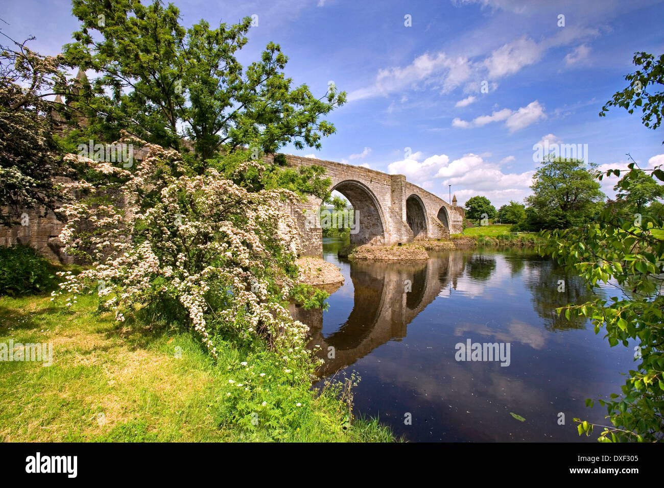 Old stirling bridge hi-res stock photography and images - Alamy