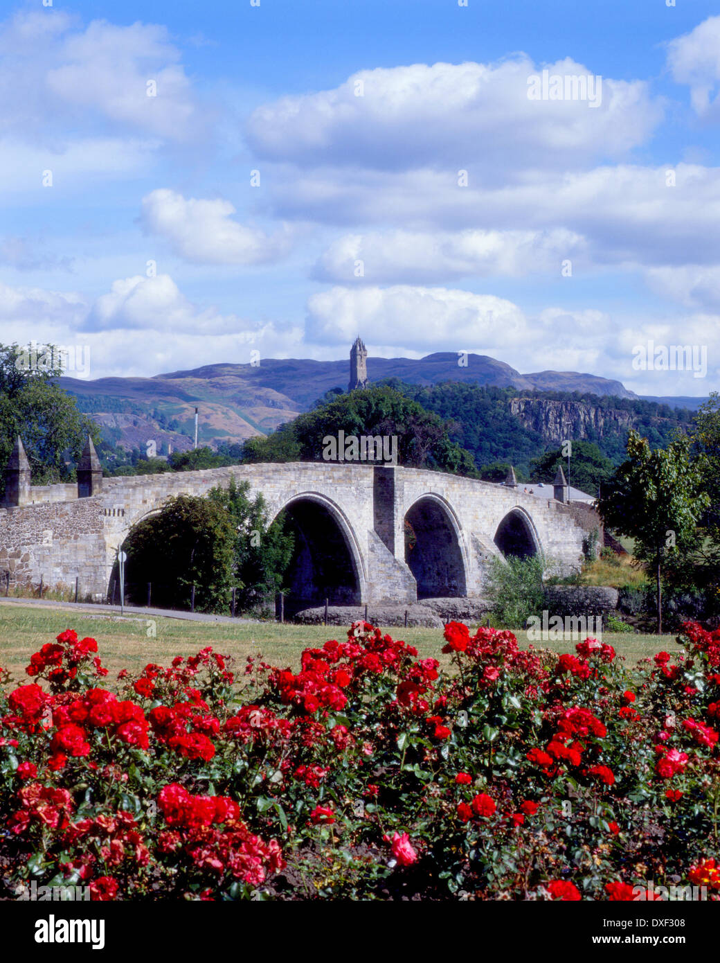 Old Stirling Bridge and Wallace monument, Stirling Stock Photo - Alamy
