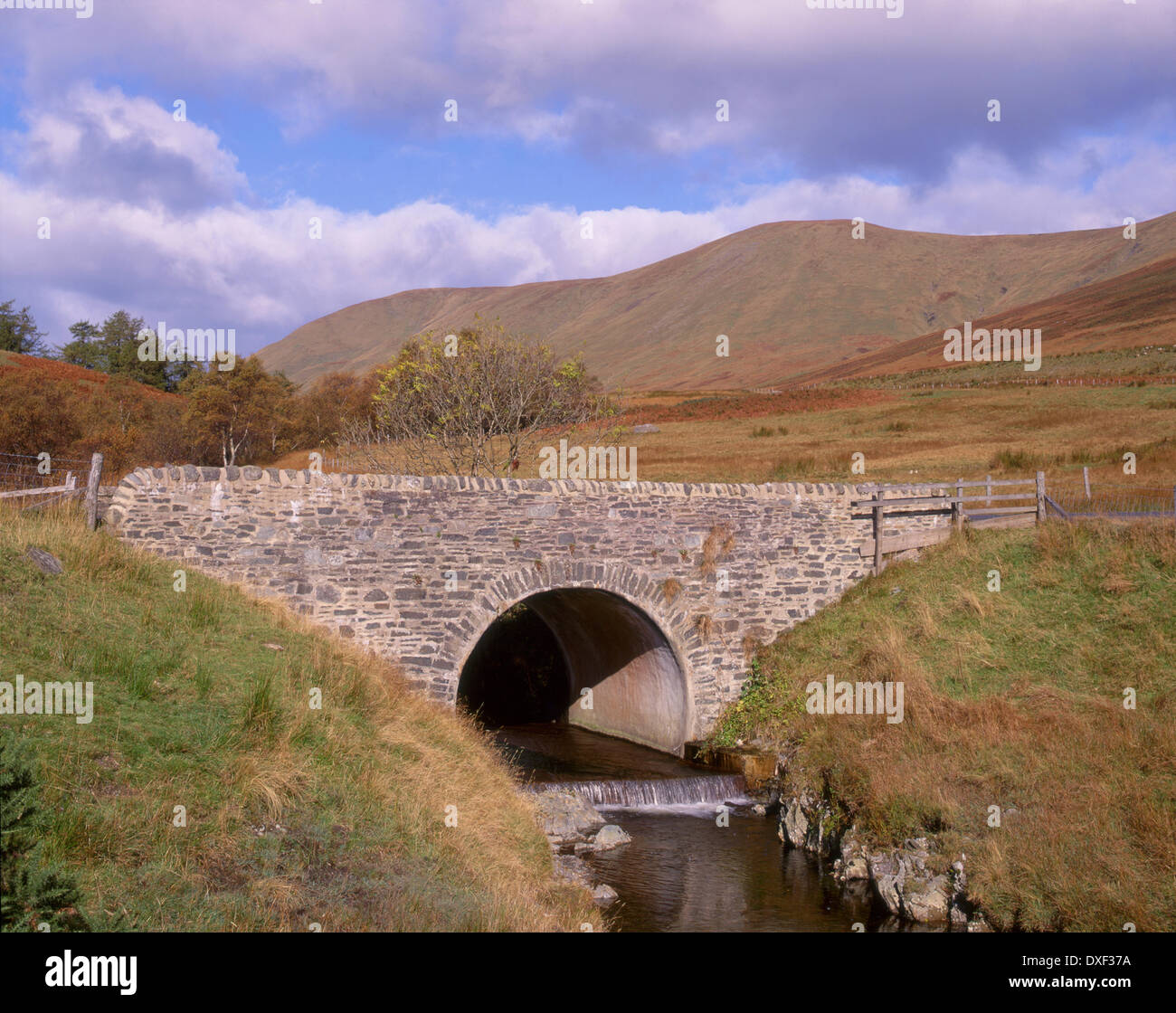 Battle of glen fruin hi-res stock photography and images - Alamy