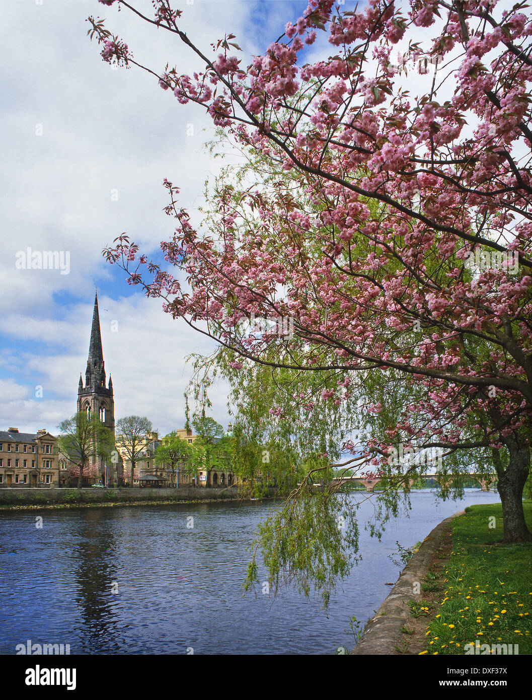 Perth scotland city hi-res stock photography and images - Alamy