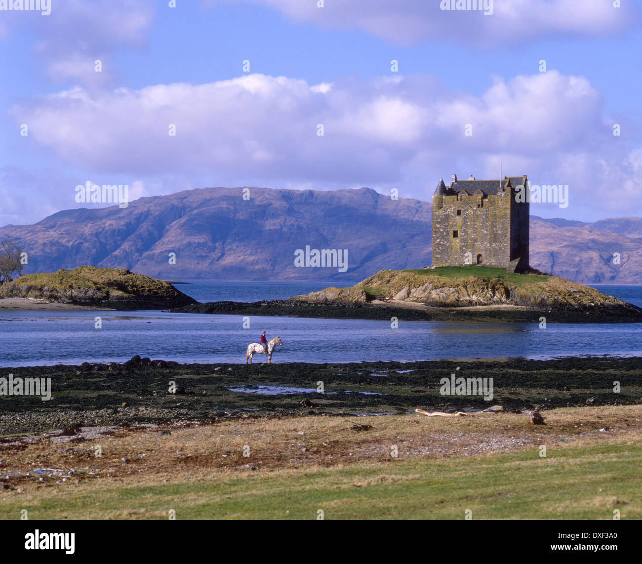 castle Stalker from appin shore with pony-trekker.appin,argyll Stock ...