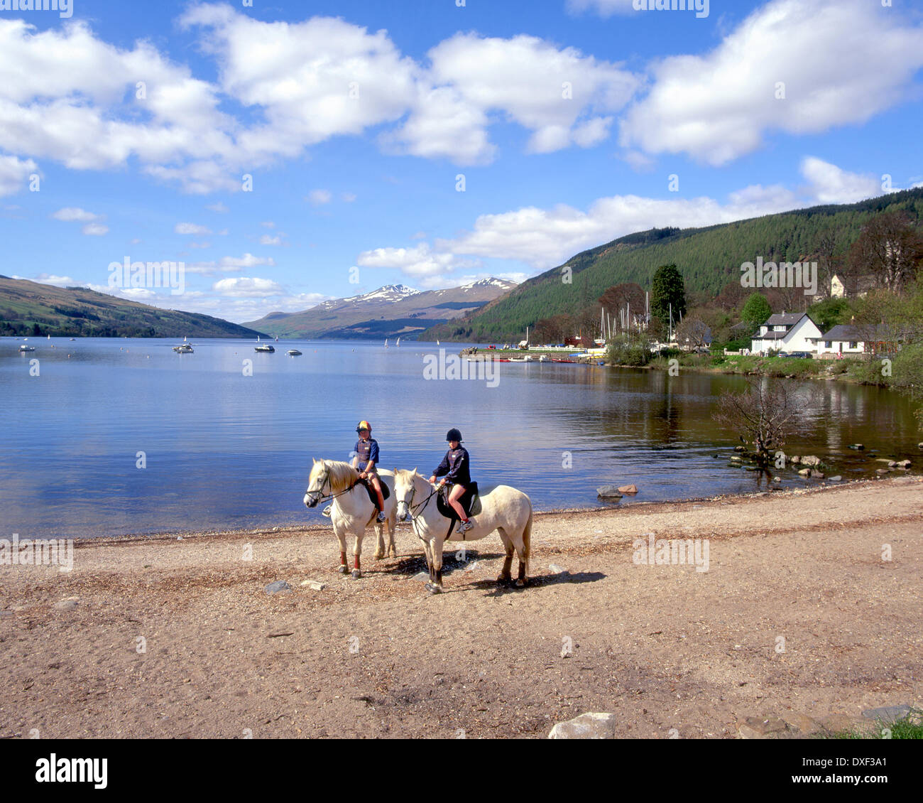 Ponny trekking on the shore of Loch Tay, Kenmore, Perthshire Stock ...