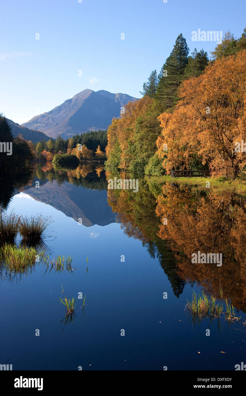 Autumn view from the lochan trail forest walk in glencoe with Ben Vair ...