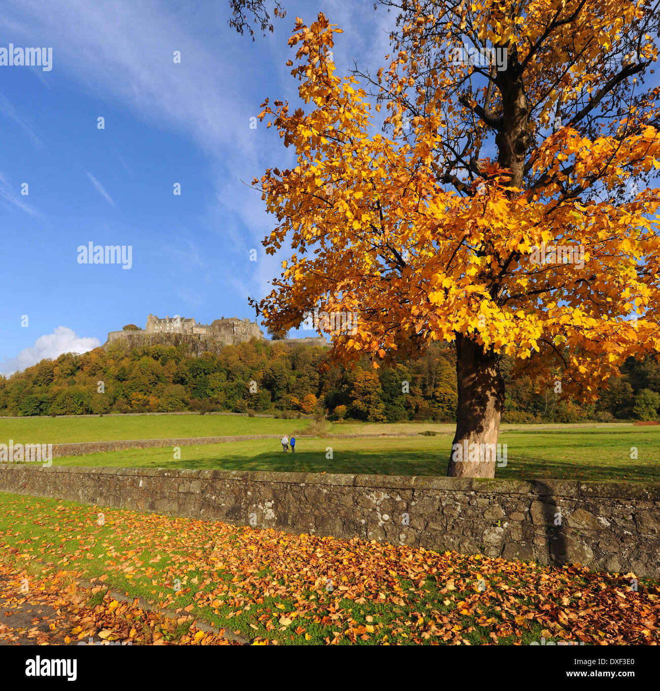 Autumn over Stirling castle, City of Stirling Stock Photo - Alamy