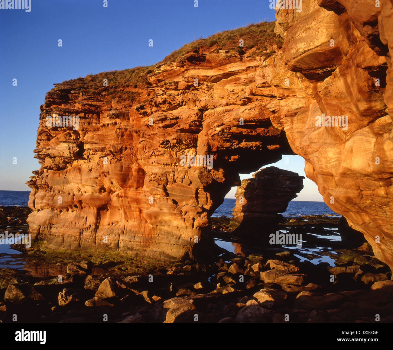 Red Sandstone Sea Arch at Torness, East Lothian Stock Photo - Alamy