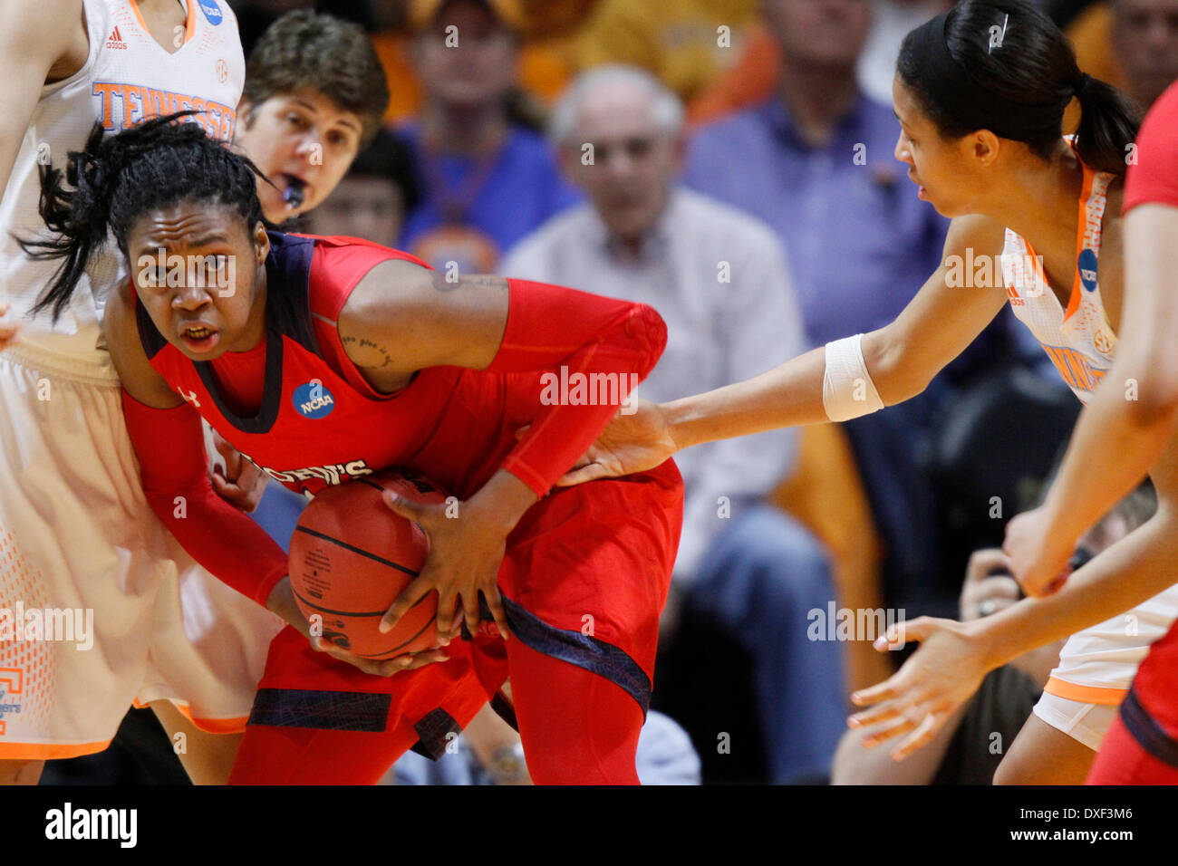 Knoxville, TN, USA. 24th Mar, 2014. March 24, 2014: St. John's Red ...