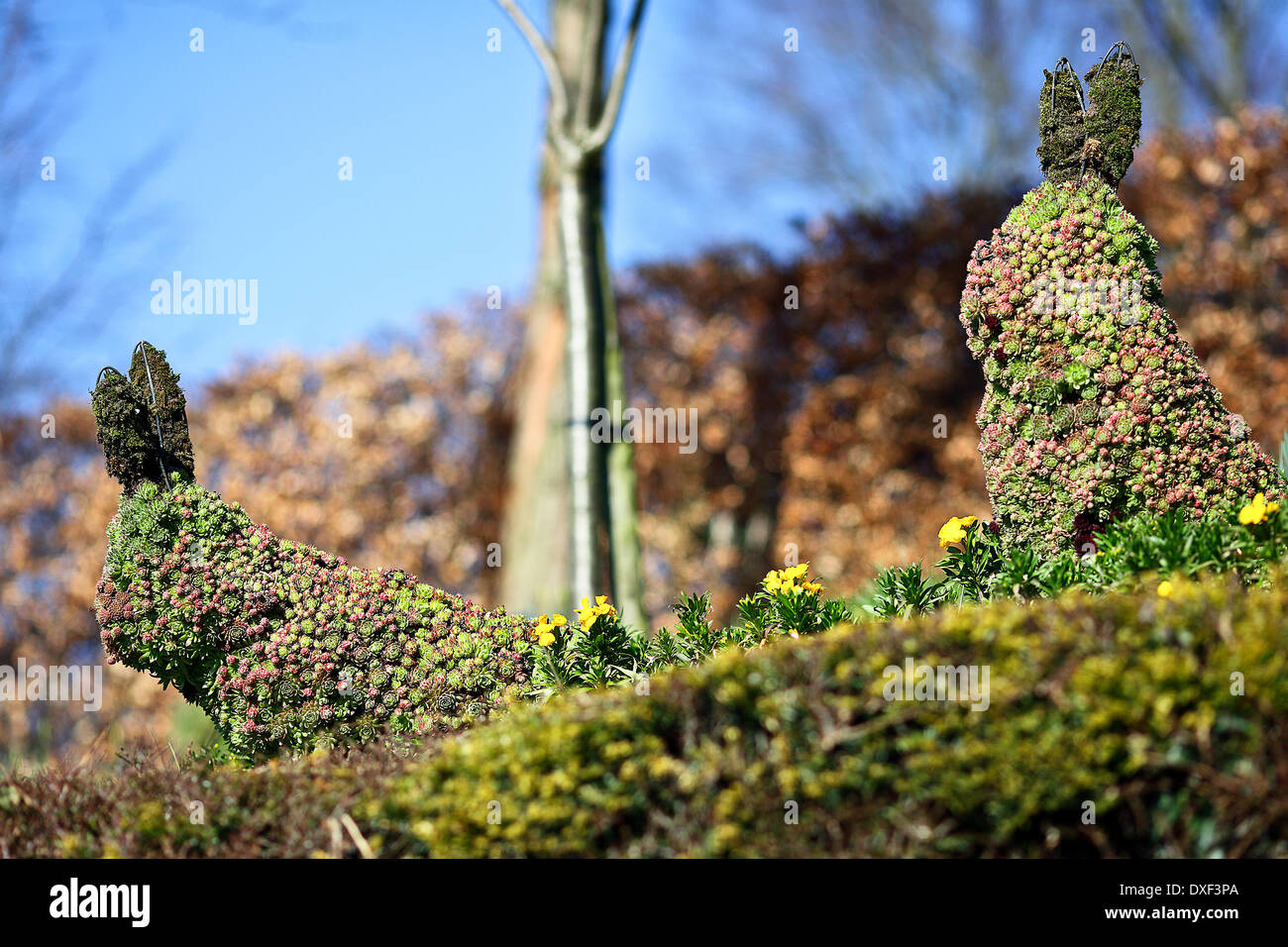 Beautiful floral bunny rabbits situated in The Dingle is a garden oasis ...