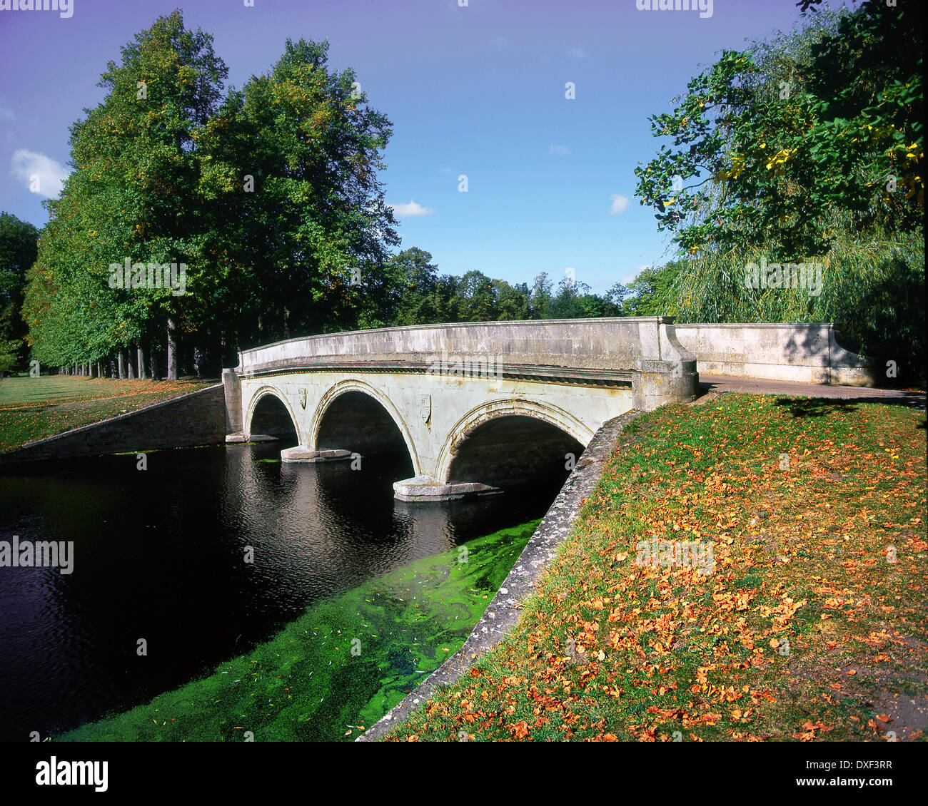 Trinity college cambridge leaves hi-res stock photography and images ...
