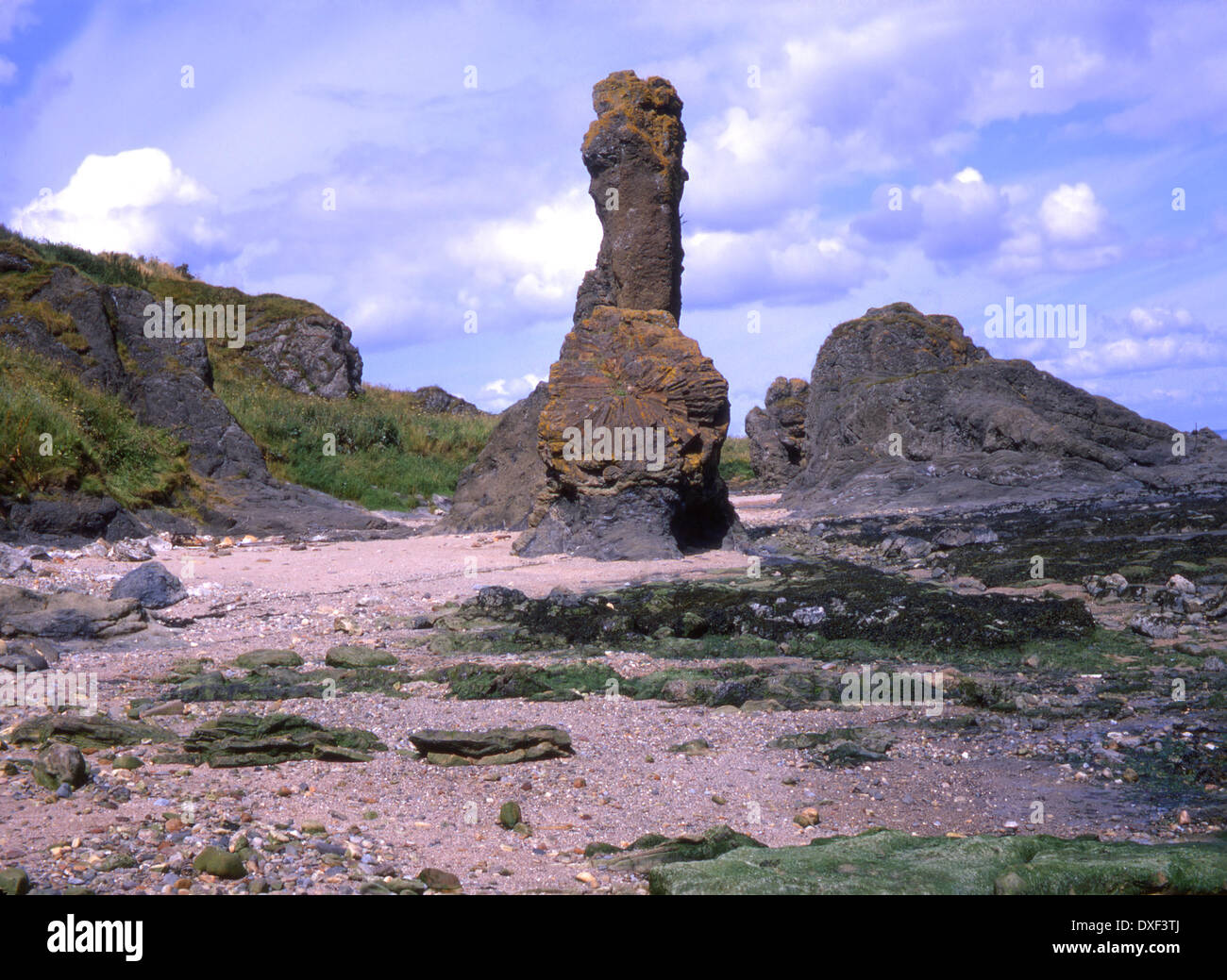 The rock and sprindle formation on the east coast of fife near st ...