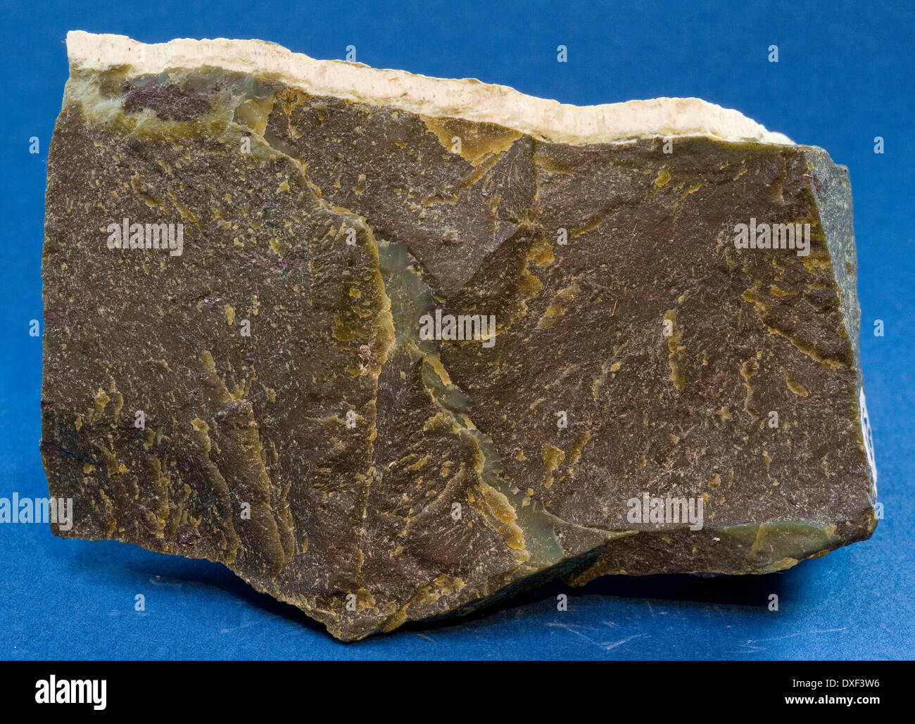 Sample of Portsoy marble or portsoy serpentine,from Portsoy,banffshire ...