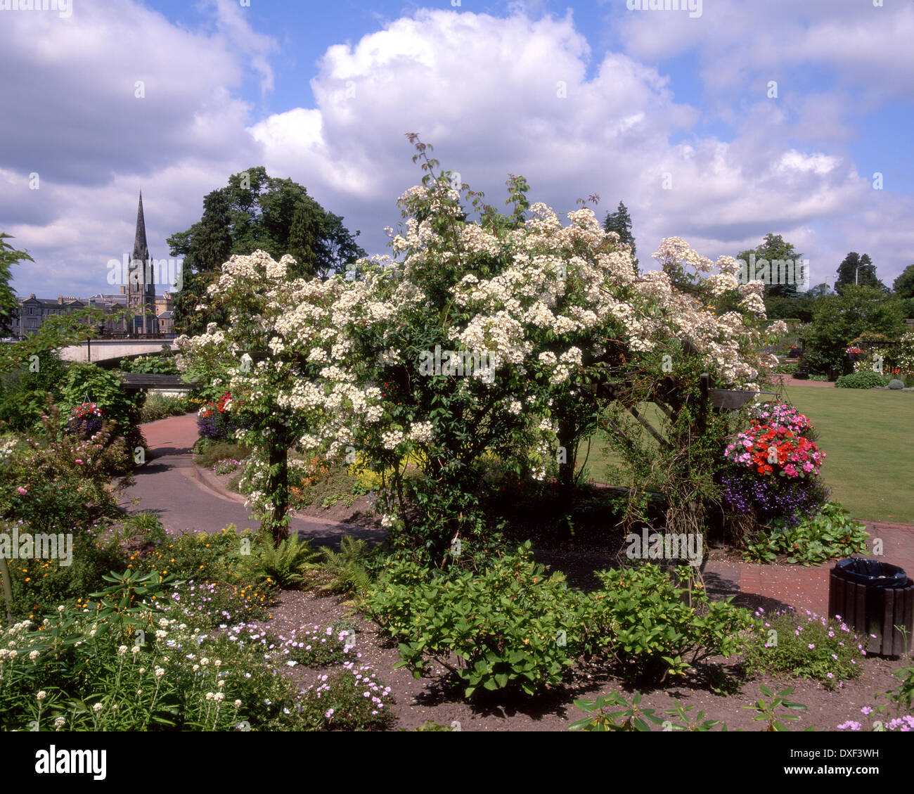 Rodney gardens on south side of the river tay, Perth, Perthshire Stock ...