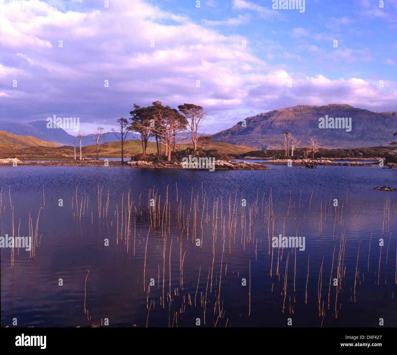 Assynt scenery hi-res stock photography and images - Alamy