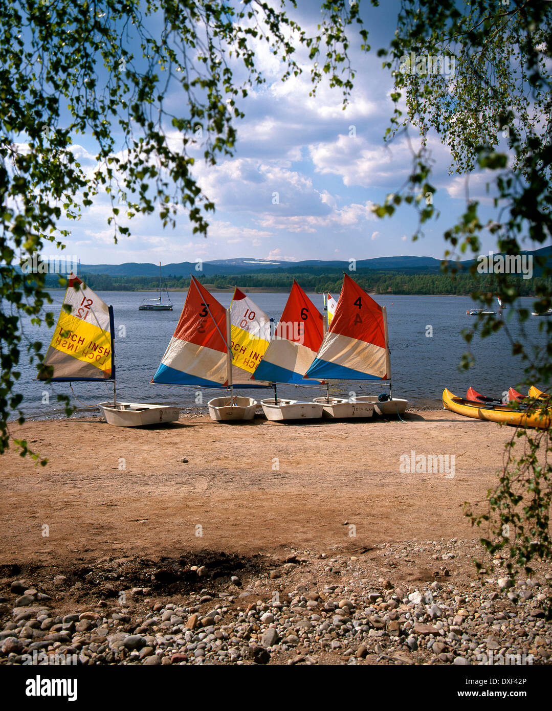 Loch insh sailing hi-res stock photography and images - Alamy