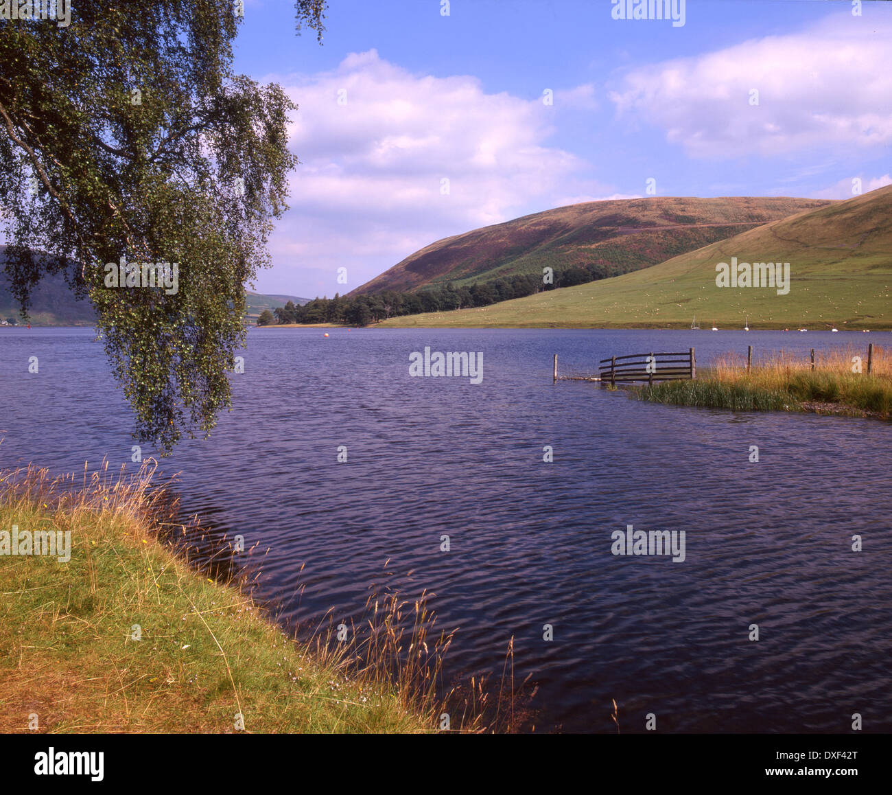 Saint marys loch hi-res stock photography and images - Alamy