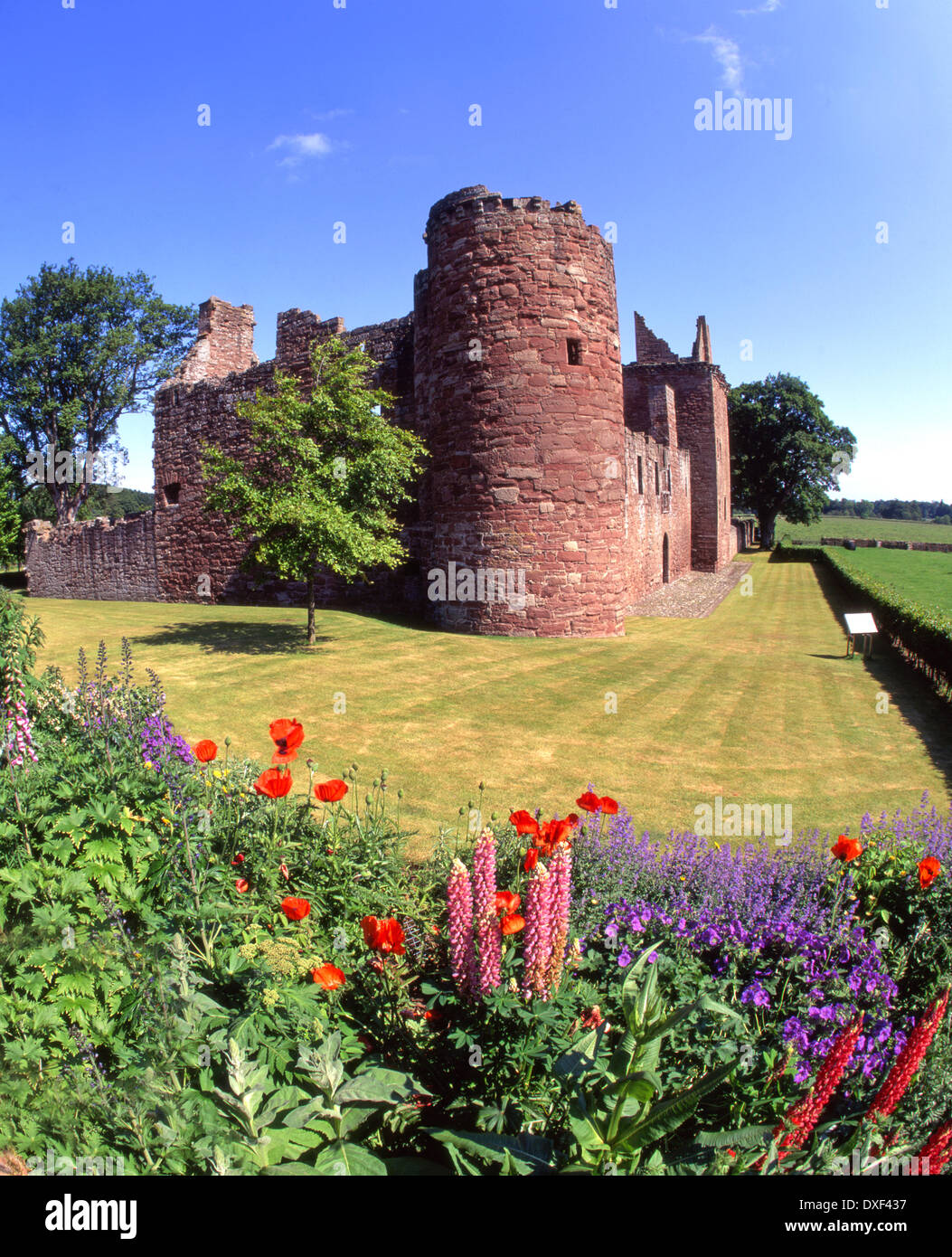 Brechin castle hi-res stock photography and images - Alamy
