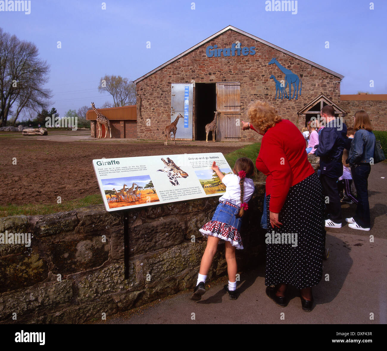 Chester zoo england hi-res stock photography and images - Alamy