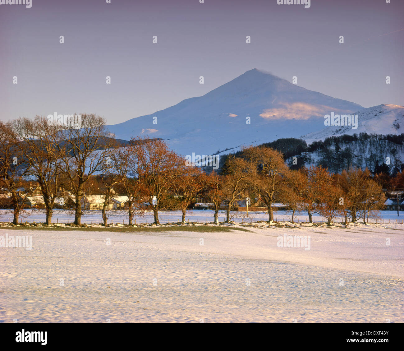 Schiehallion field hi-res stock photography and images - Alamy
