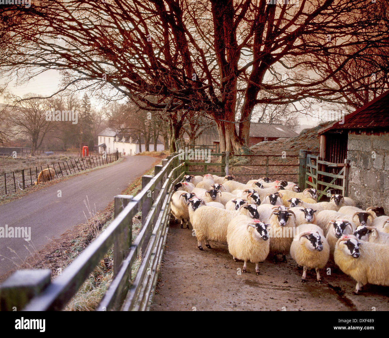 Loch awe village hi-res stock photography and images - Alamy