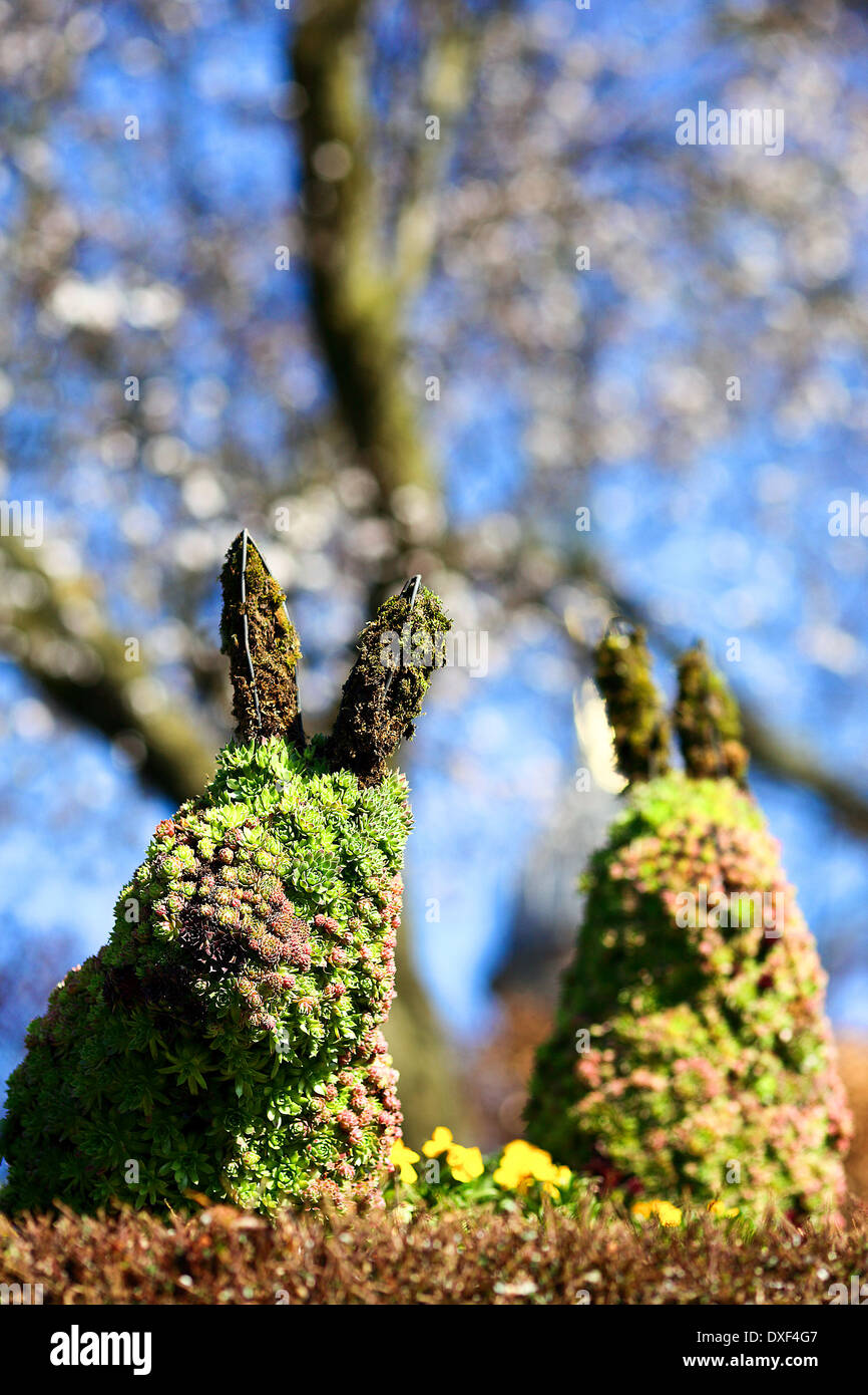 Rabbits topiary hi-res stock photography and images - Alamy