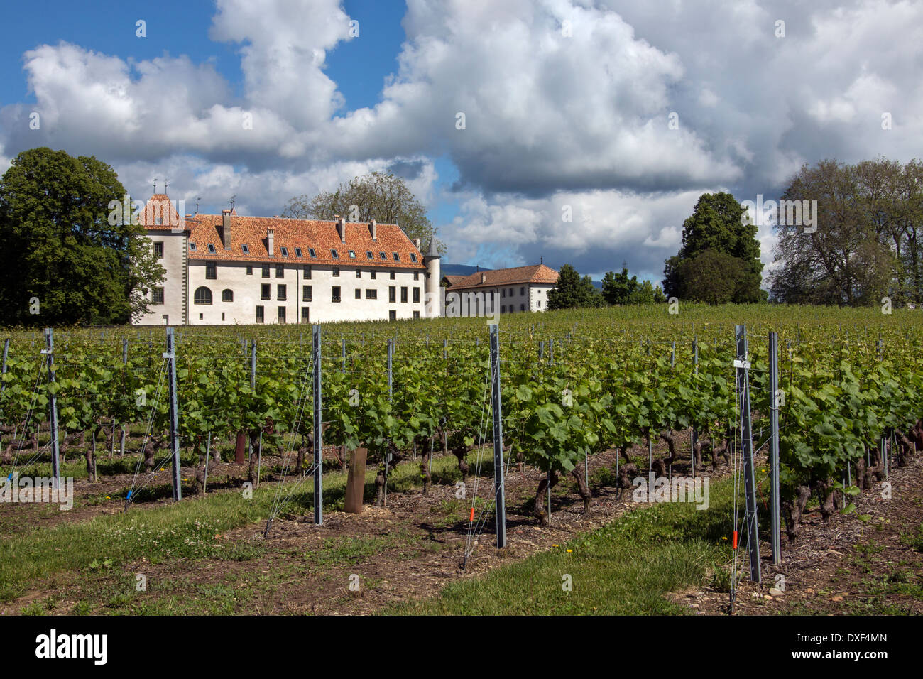 Chateau allaman hi-res stock photography and images - Alamy