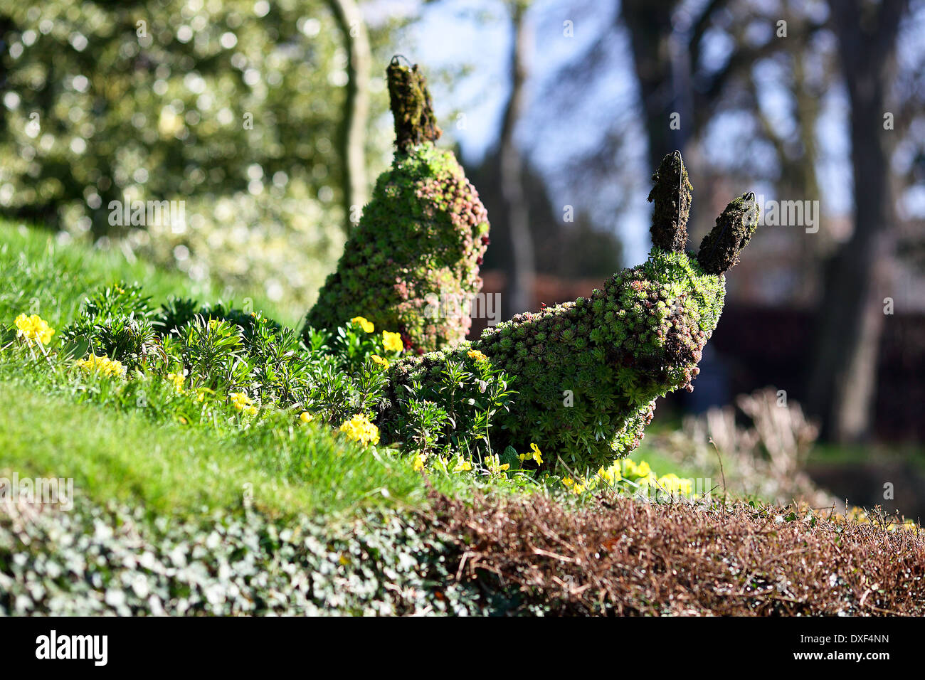 Spring bunnies rabbits hi-res stock photography and images - Alamy