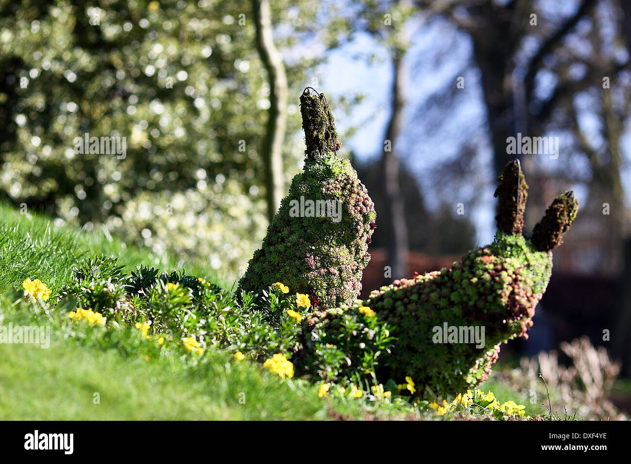Spring bunnies rabbits hi-res stock photography and images - Alamy