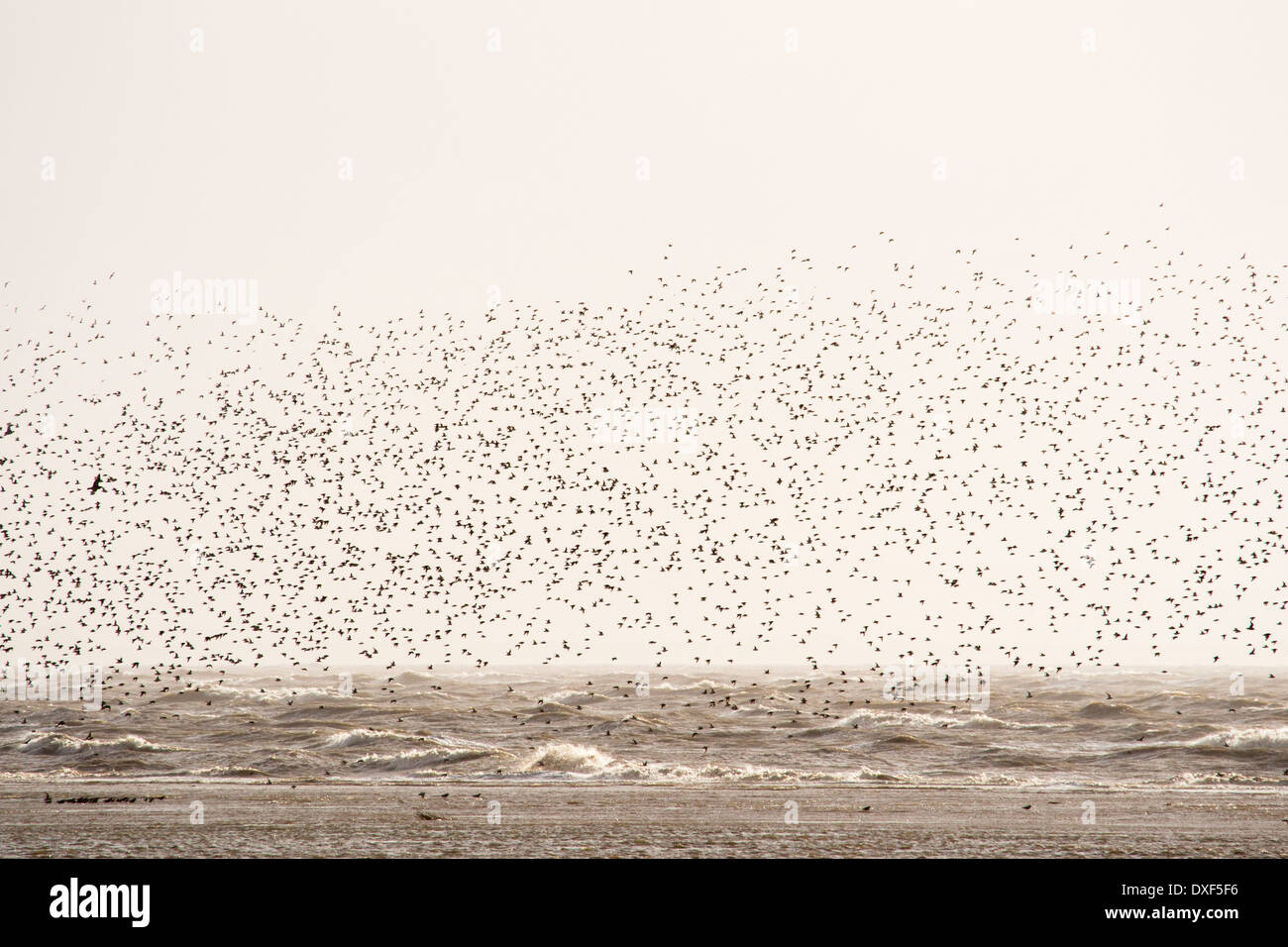 Tide knot hi-res stock photography and images - Alamy