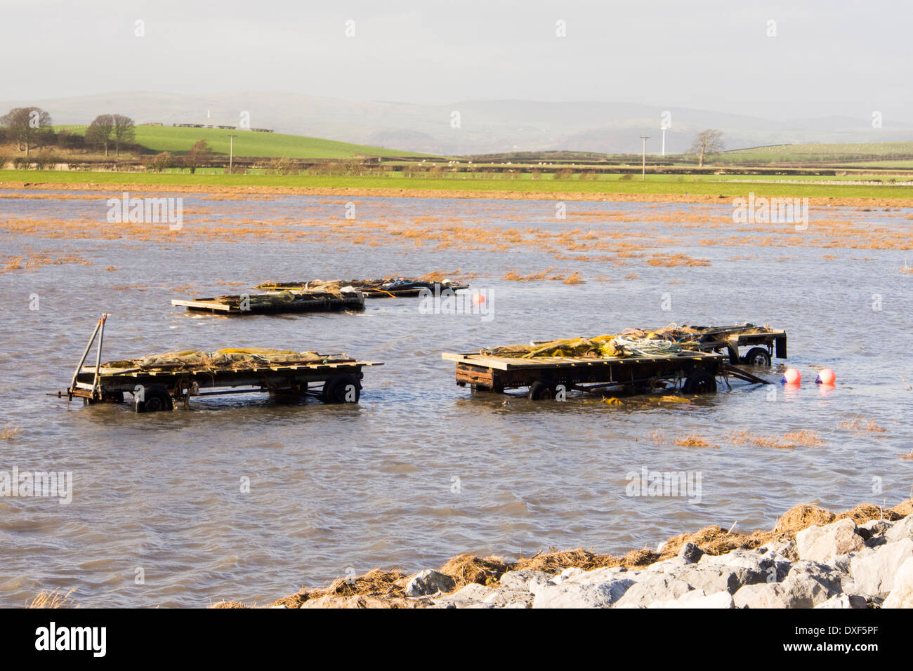 Shrimp fishermens trailers inundated by flood water during an ...