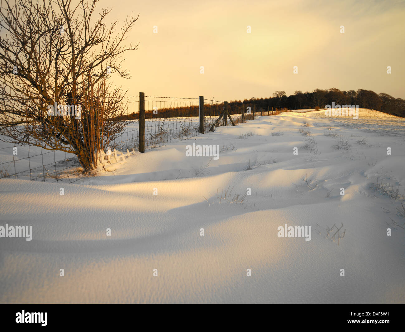 Winter snow on the Harwardian Hills in North Yorkshire in the United ...
