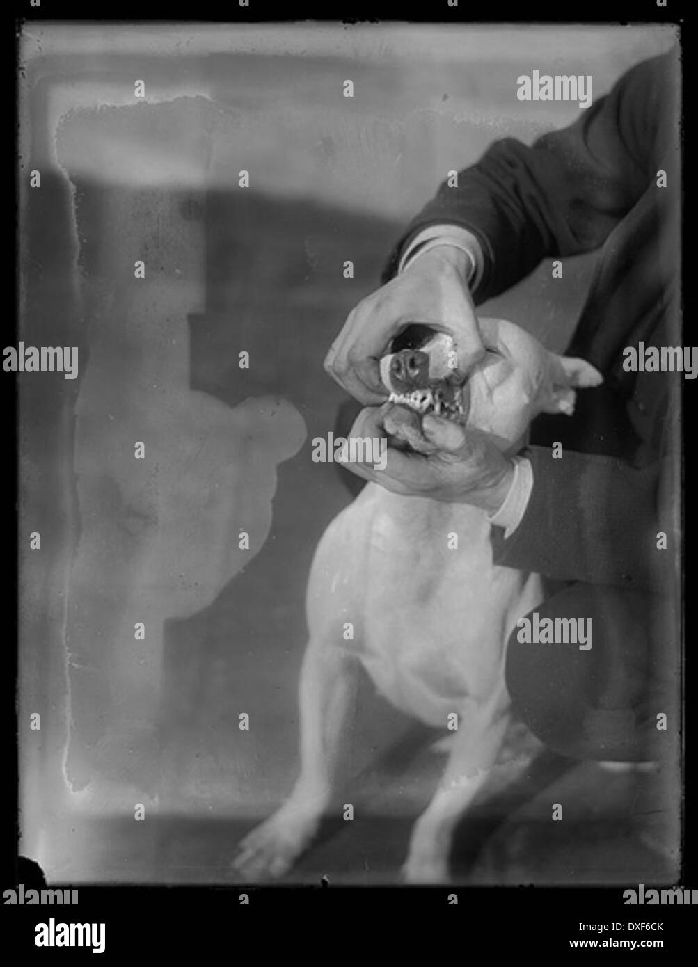 Vintage trainers Black and White Stock Photos & Images - Alamy