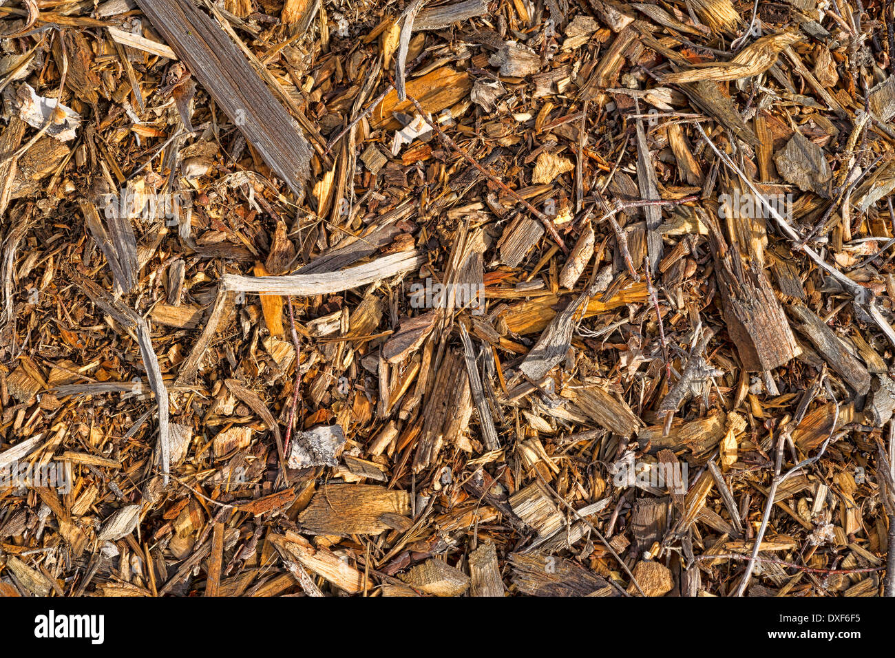 A close view of shredded trees for mulch Stock Photo - Alamy