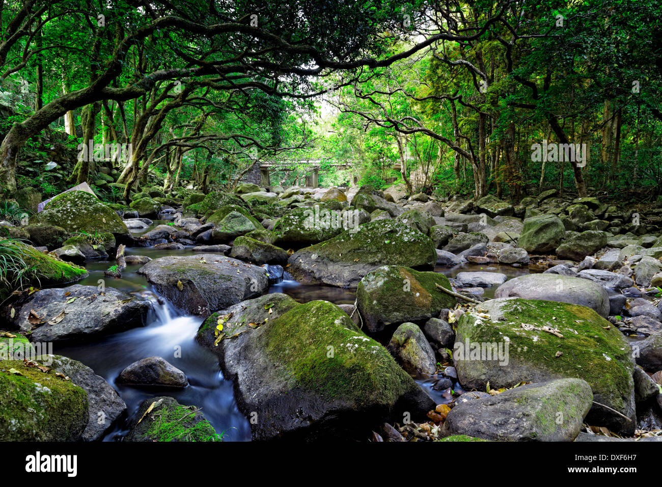 Bamboo rocks stream 墨竹扇面図 hi-res stock photography and images - Alamy