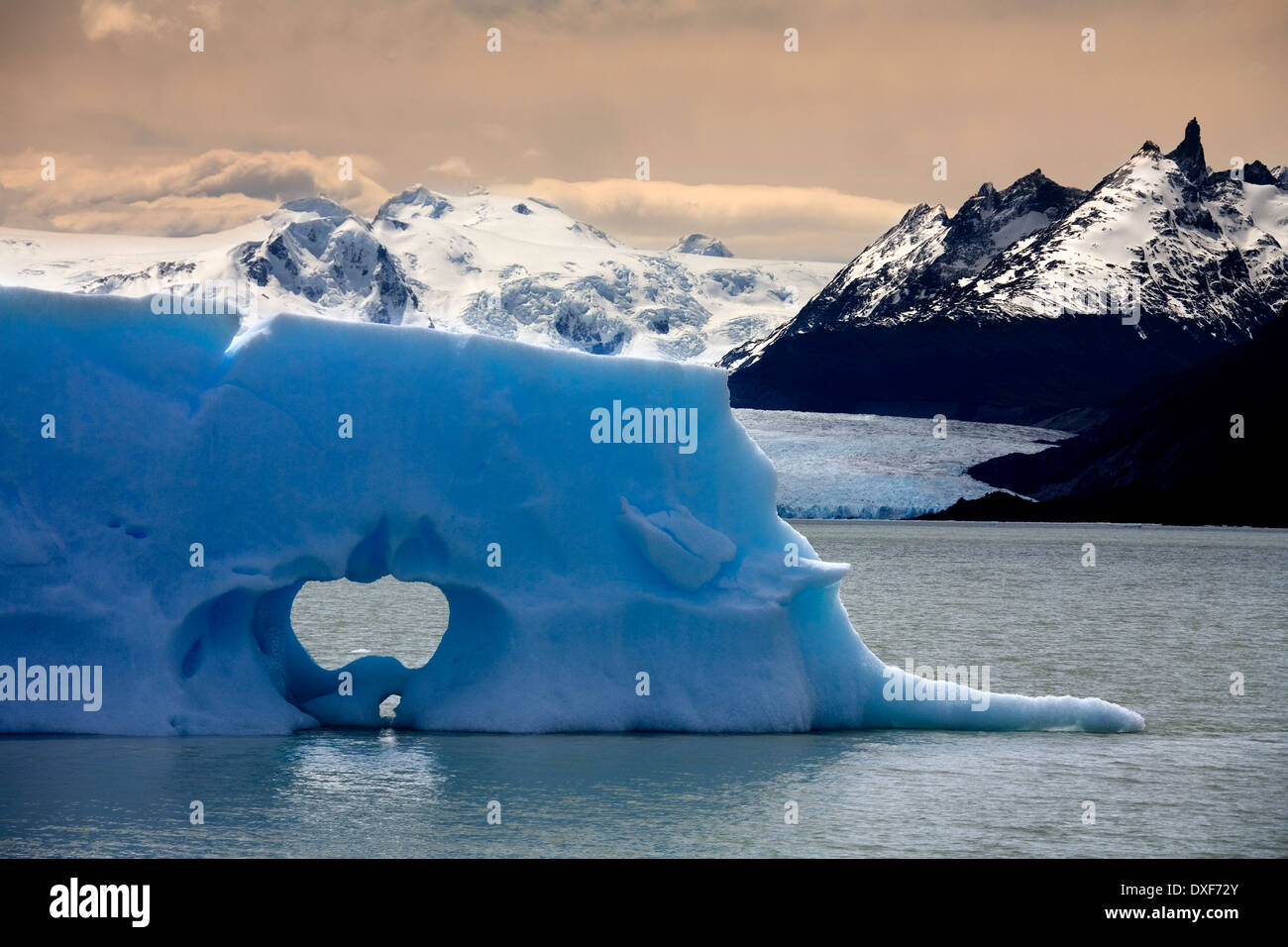 Floating sea ice near the San Rafael Glacier (in background) in ...