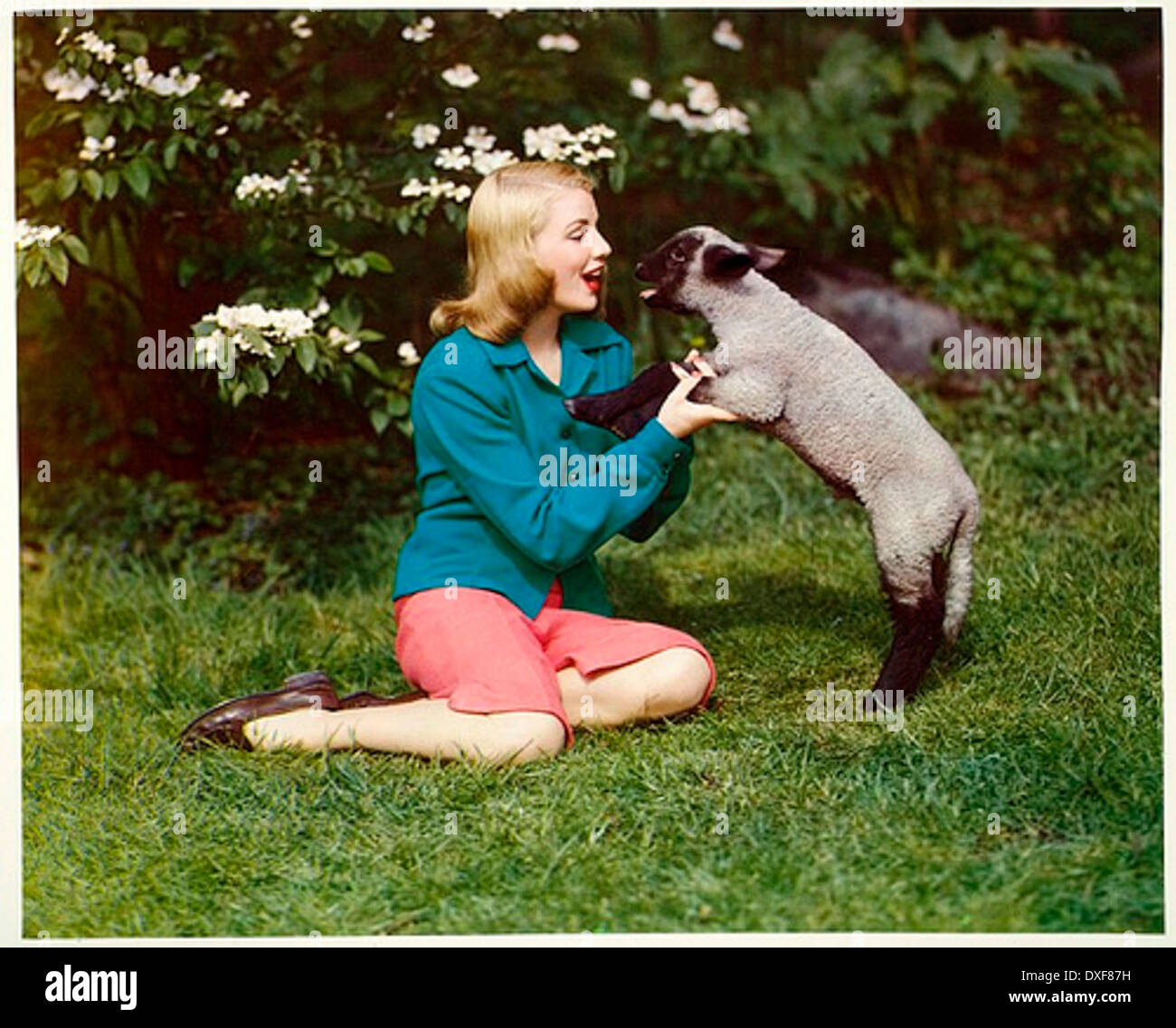 Cyanamid hi-res stock photography and images - Alamy