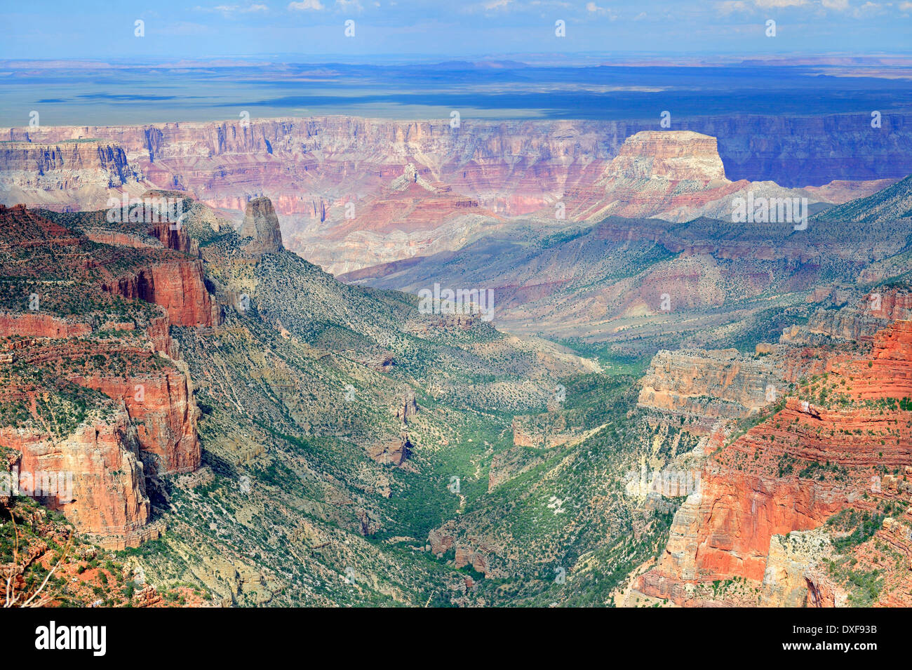 North rim arizona hi-res stock photography and images - Alamy