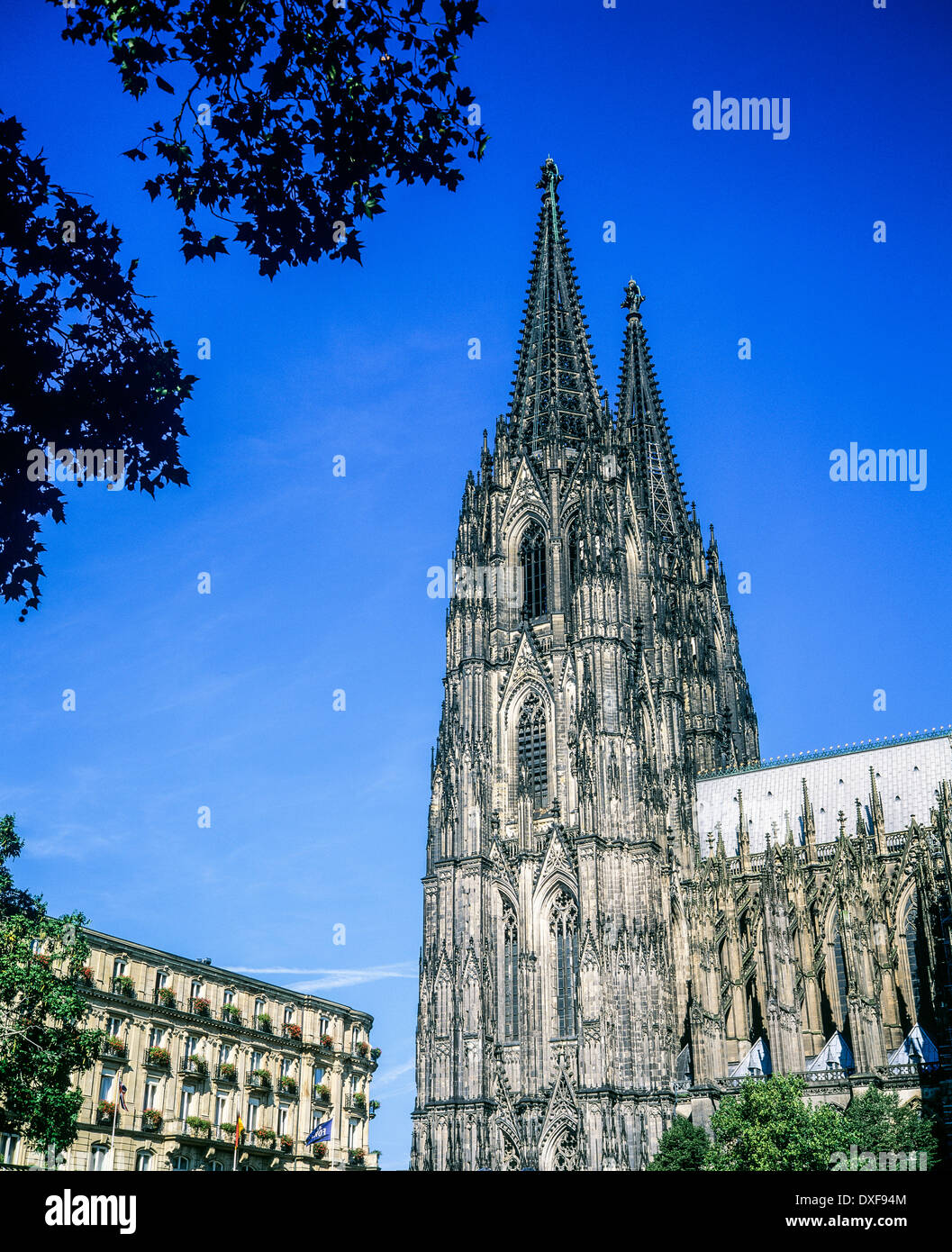 Dom gothic cathedral 13th Century Cologne Germany Stock Photo - Alamy