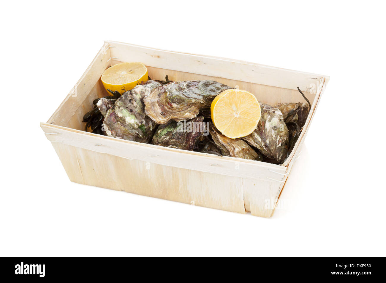 Oysters box. Isolated on white background Stock Photo - Alamy