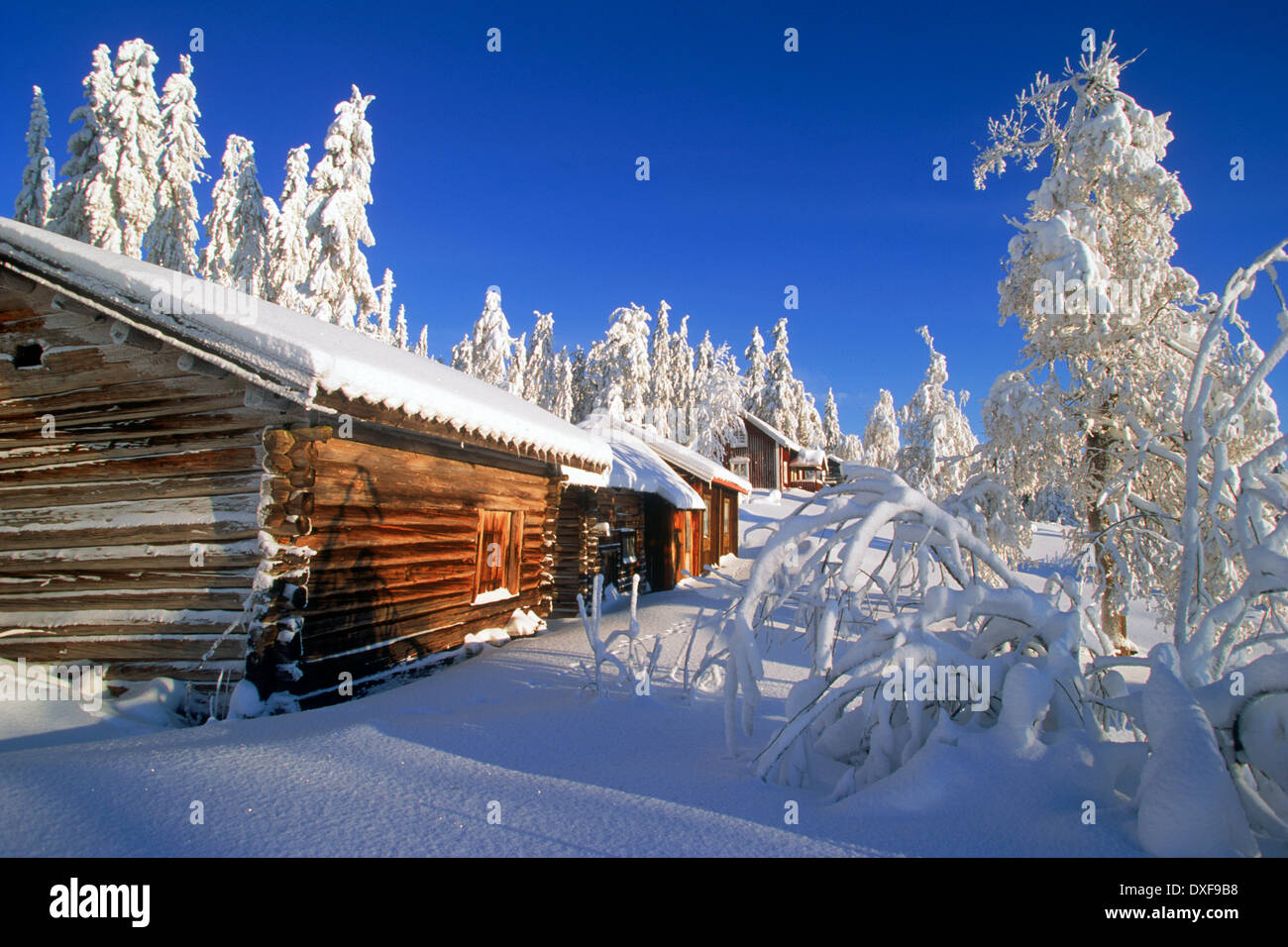 Trees and rooftops laden with snow in winter in the countryside of ...